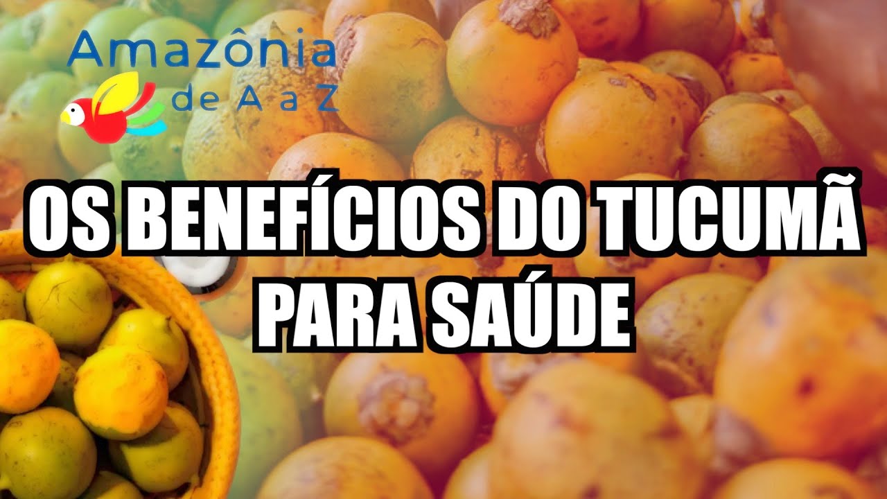 Os benefícios do tucumã para saúde | Amazônia de A a Z - YouTube