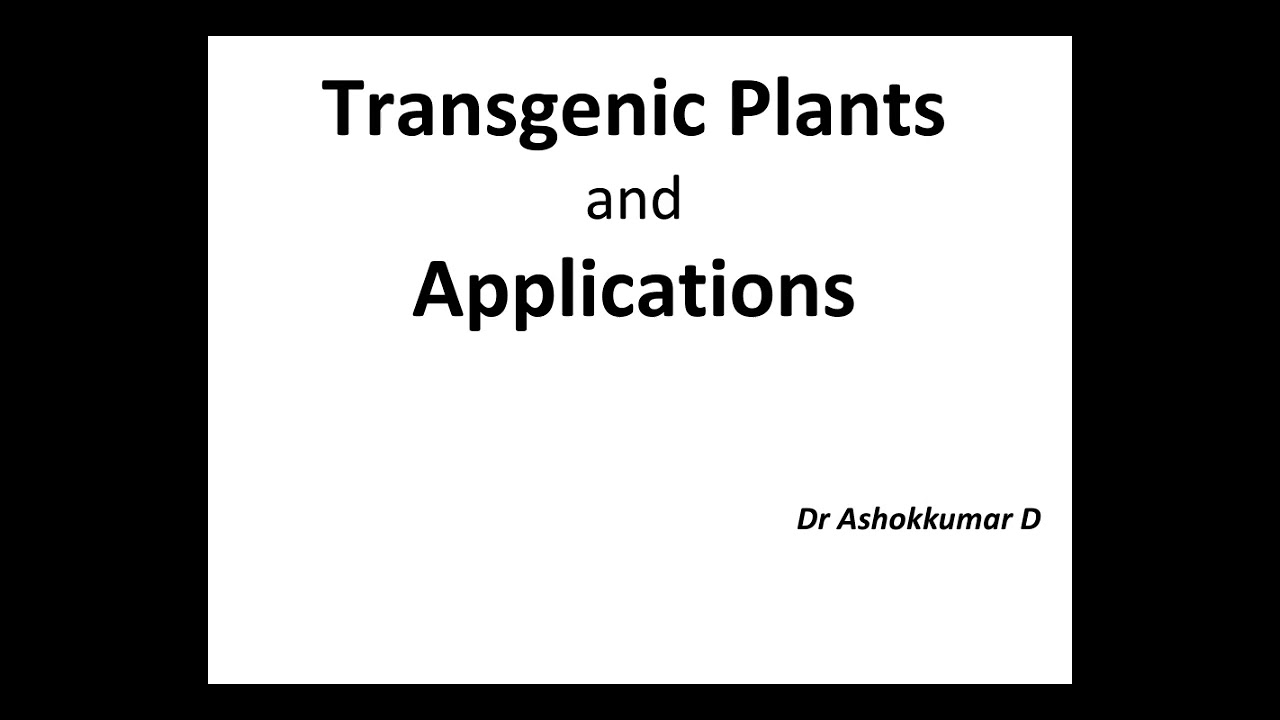 Transgenic plants and applications - YouTube