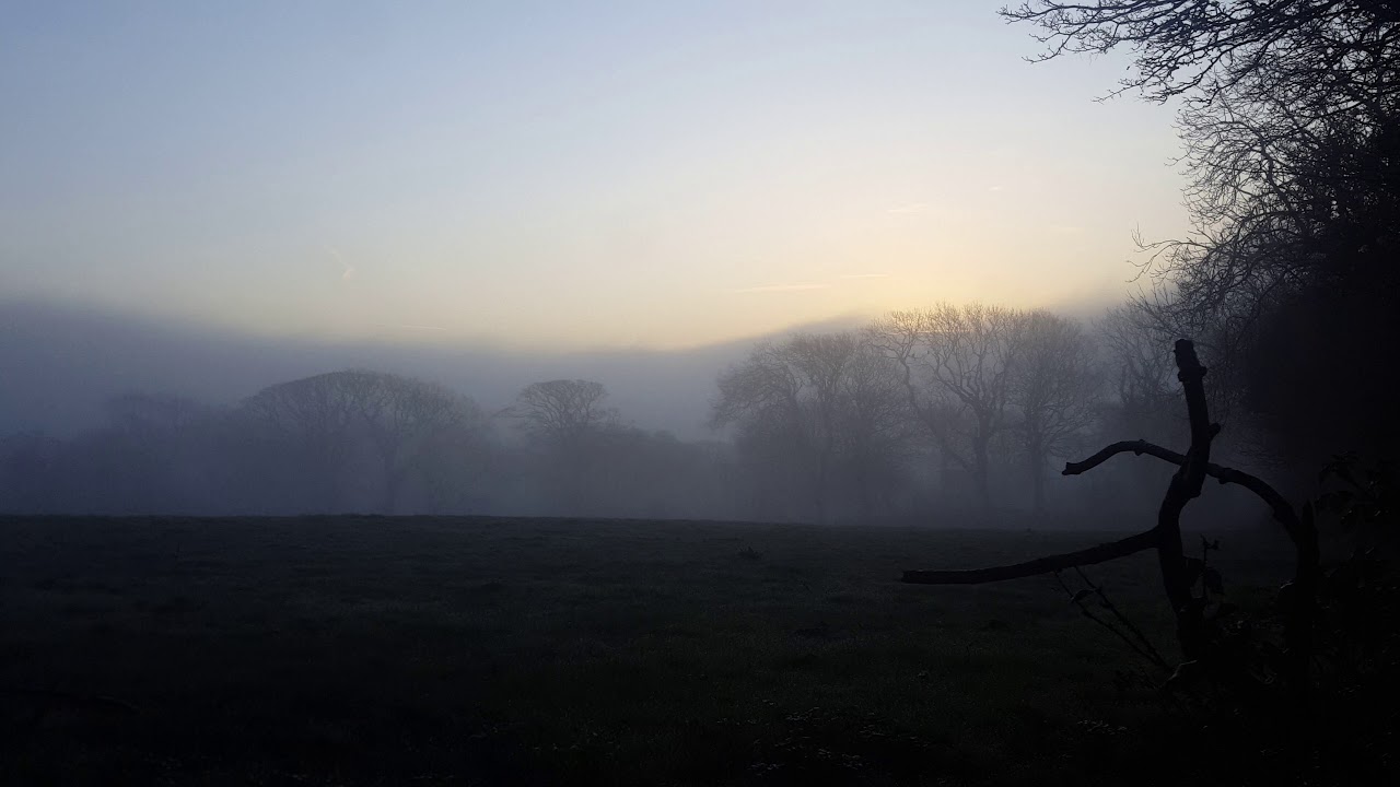 Short: Foggy Morning | ISLE OF MAN 🇮🇲 tEAvEE 🎥 4K - YouTube
