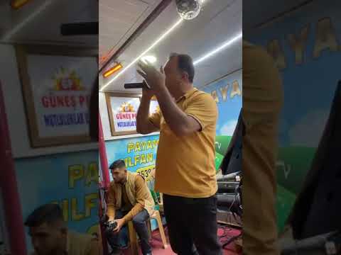 PAYAMCALI GILFAN VE EKİBİ HARİKA #YANBAGLAM#abone #kanalımıöneçıkar #tiktok #uzun #harika #beni #ka