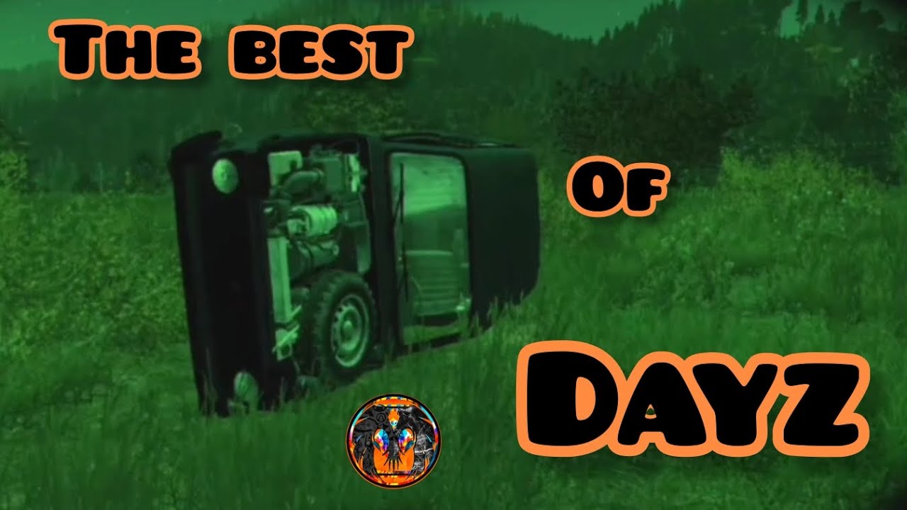 The Best of Dayz(2024) - YouTube