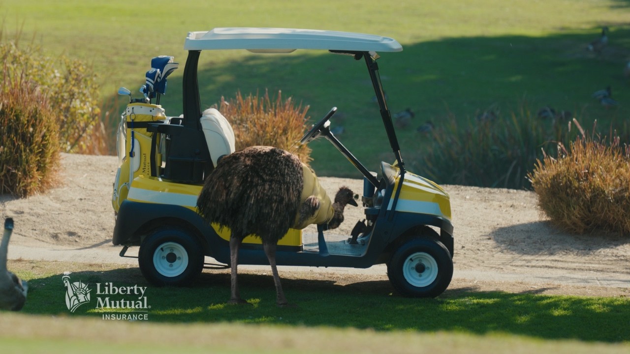 Golf | LiMu Emu & Doug | Liberty Mutual Insurance Commercial - YouTube