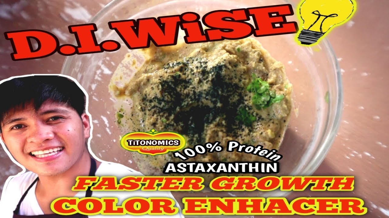 DIY FISH FOOD high in protein for FRY,JUVY and Breeders+SHOUT OUT - YouTube