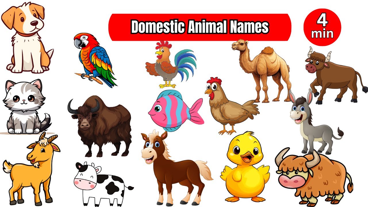 Domestic Animal names l Learn Domestic Animals Name In English With ...