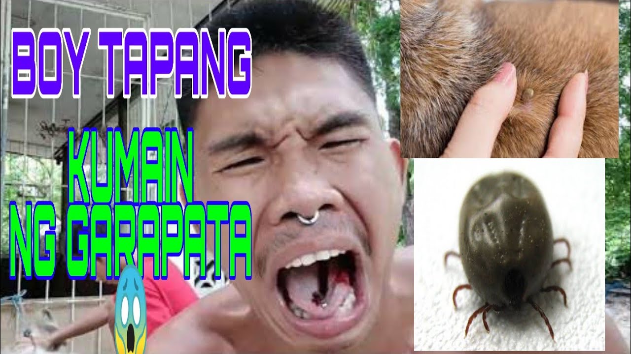 MUKBANG GARAPATA/ANONG MASASABI NYO? DONT FORGET TO LIKE & SUBSCRIBE ...