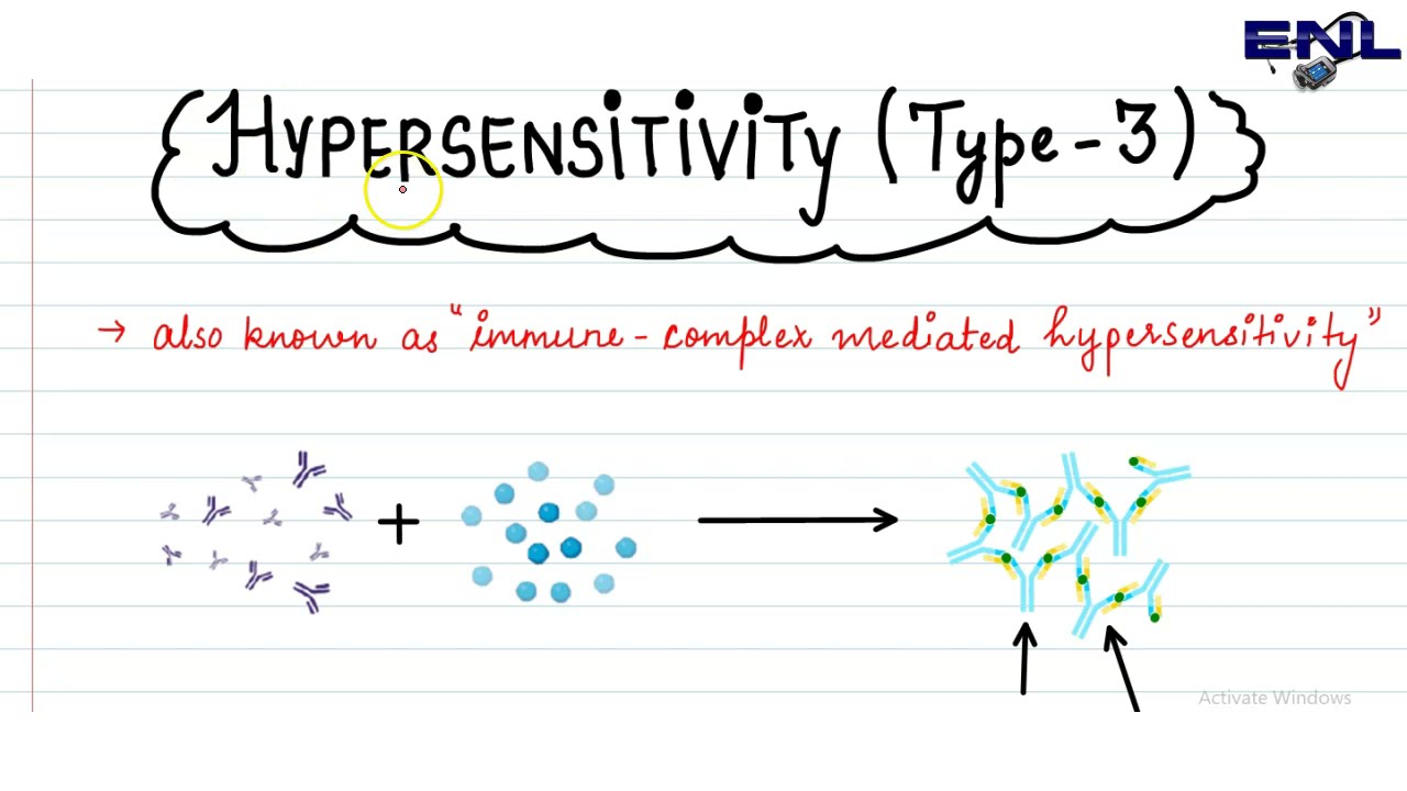 Type 3 Hypersensitivity Reaction || Microbiology - YouTube