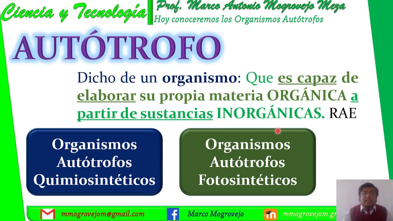 Conocemos los Organismos Autótrofos - YouTube