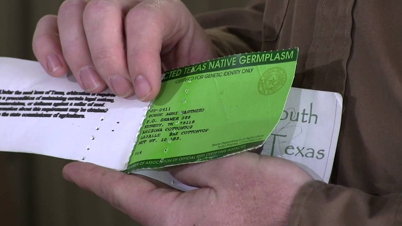 Understanding Native Seed Tags, Storage, and Handling (3 of 7) - YouTube