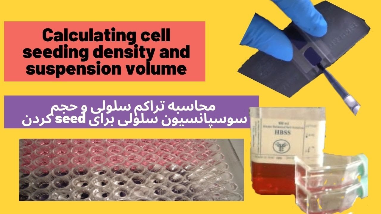 Easy Formula To Calculate Cell Density Or Volume Of Cell Suspension For easy-formula-to-calculate-cell-density-or-volume-of-cell-suspension-for