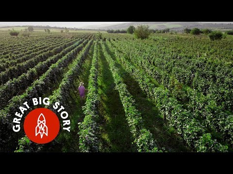 Behind Georgia’s 8,000-Year-Old Winemaking Tradition