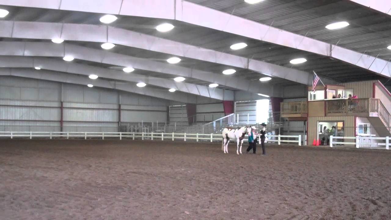 molly sms 2 - YouTube