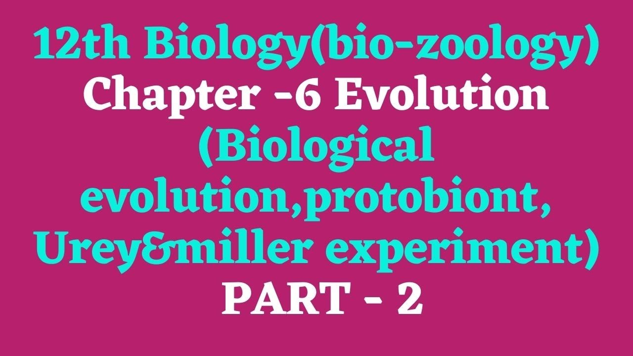 12th Biology(biozoology)chapter6 Evolution explain in tamil(protobiont,urey&miller experiment)(2 ...