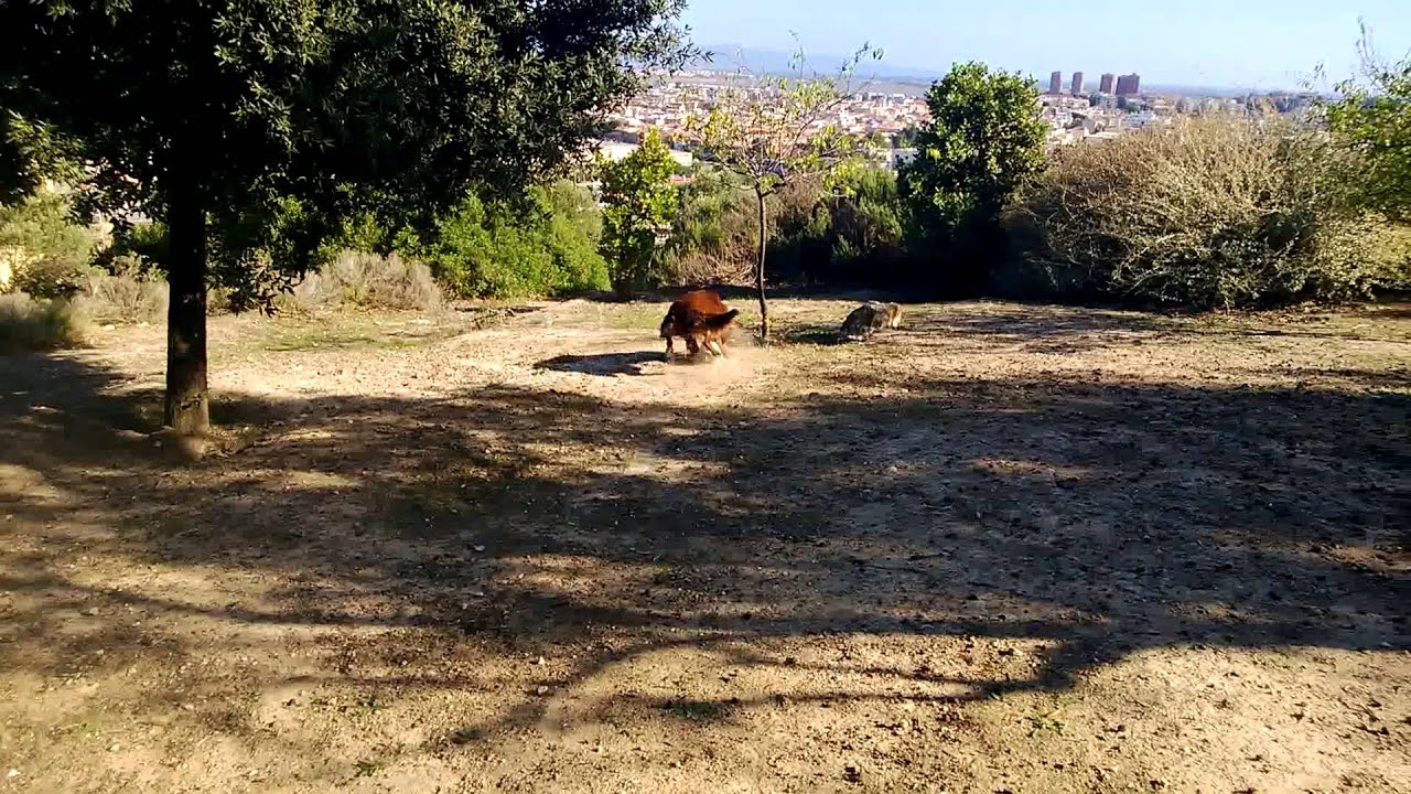 Lumia 920 video sample Full HD 1080p