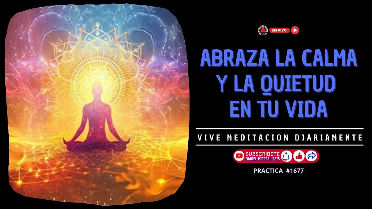 Abraza la Calma y la Quietud en Tu Vida - Sesión en Vivo Vive ...