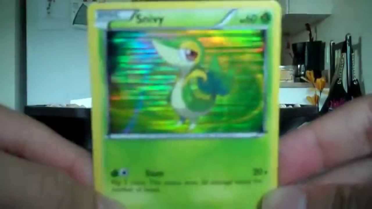 Opening a Pokemon Black & White Snivy Tin - YouTube