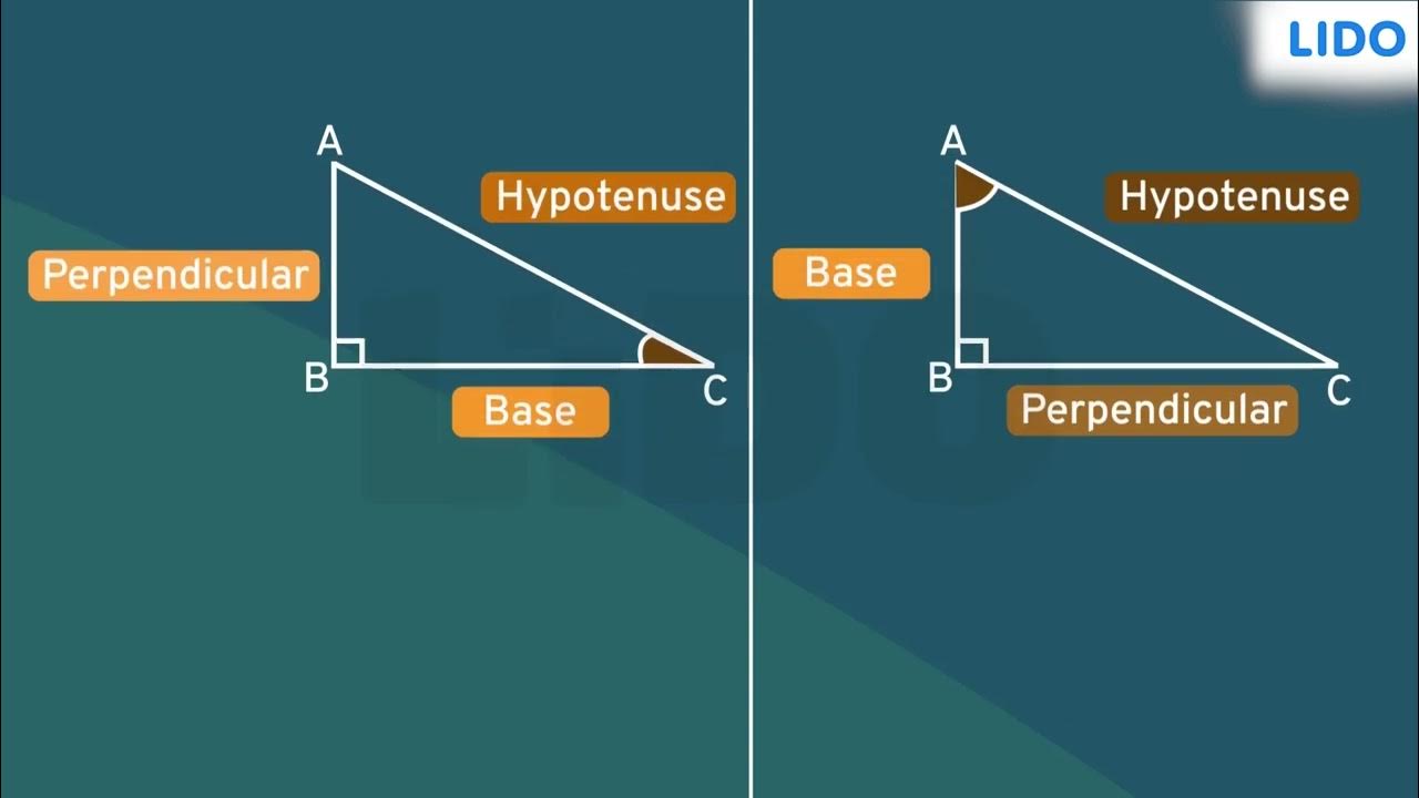 Introduction to trigonometric ratios | Trigonometrical Ratios | Class ...