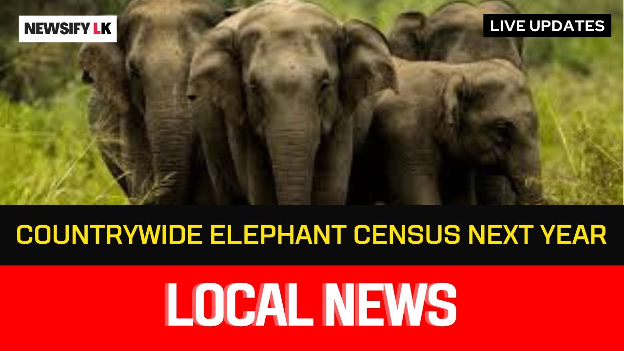 Countrywide Elephant Census Next Year | Local News | Newsify LK - YouTube