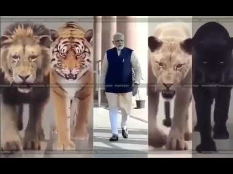 PM NARENDRA MODI JI FC | TIGER WALK 👣 - YouTube