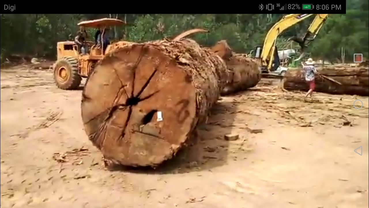 Amazing big logs are Loaded | skill - YouTube