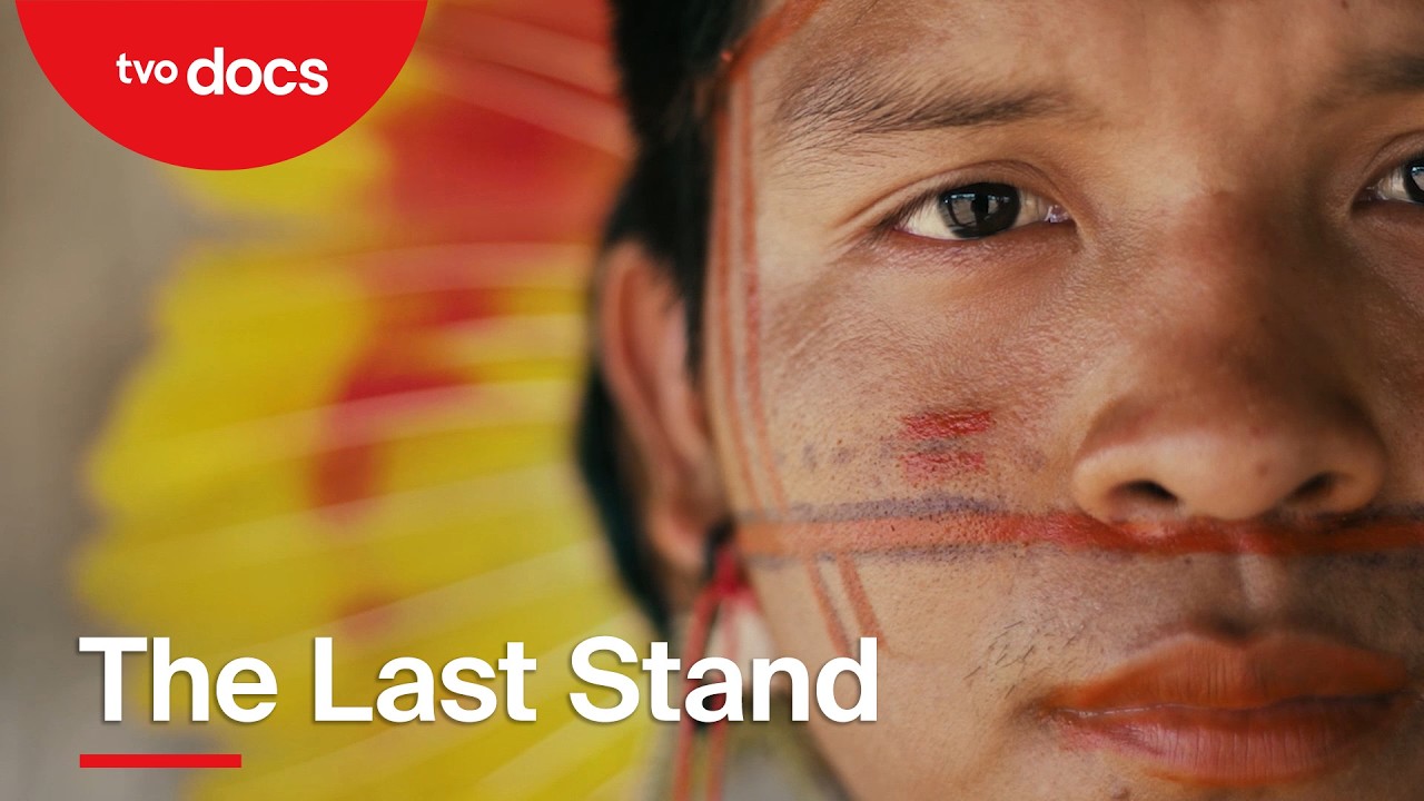 The Urgent Fight to Protect Forests Everywhere | The Last Stand | TVO ...