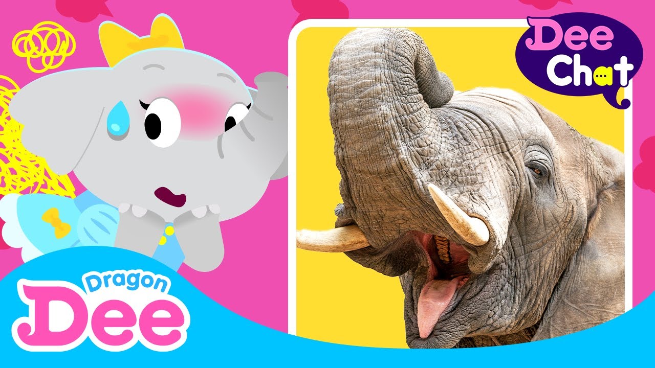 BOOM!! Why do Elephants fart SO loud? 💨 | Fun facts about elephant 🐘 ...