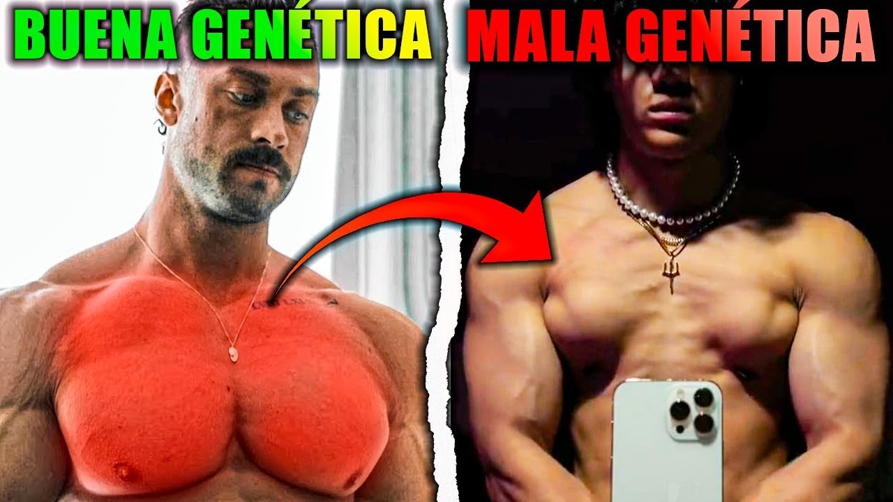 CÓMO Saber Si TENGO BUENA GENÉTICA DE PECTORAL? 🤯 El Análisis - YouTube
