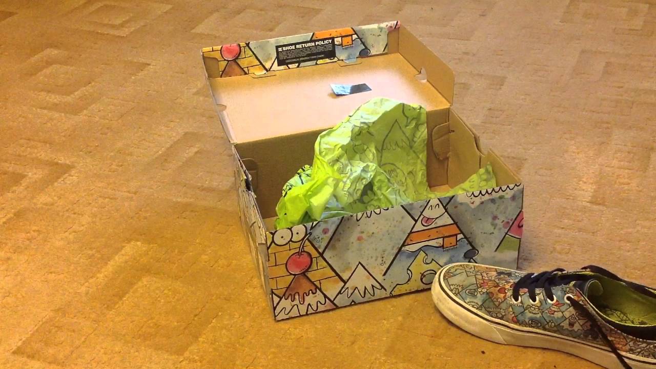 Обзор : кеды DC Kevin Lyons - YouTube