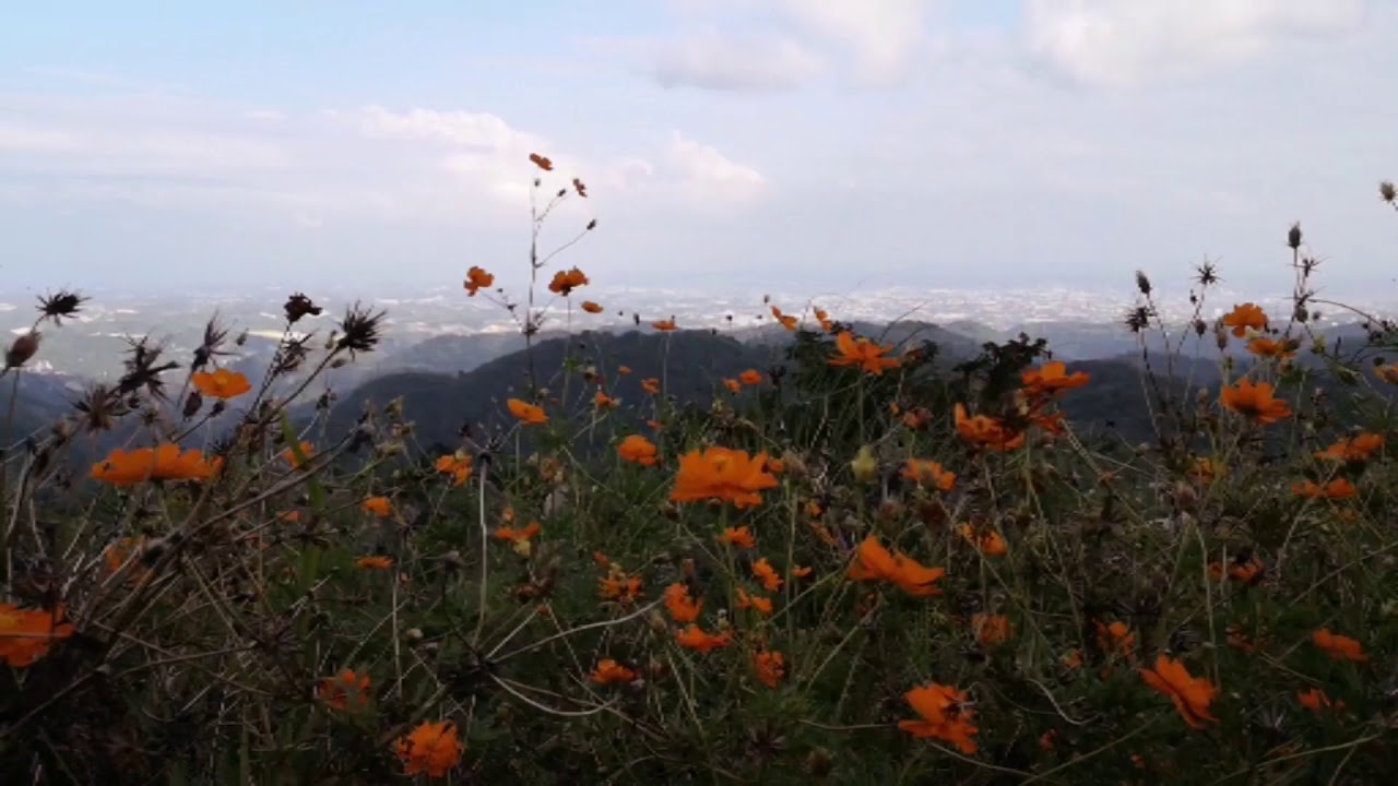 Disconnect & re-connect with nature - YouTube