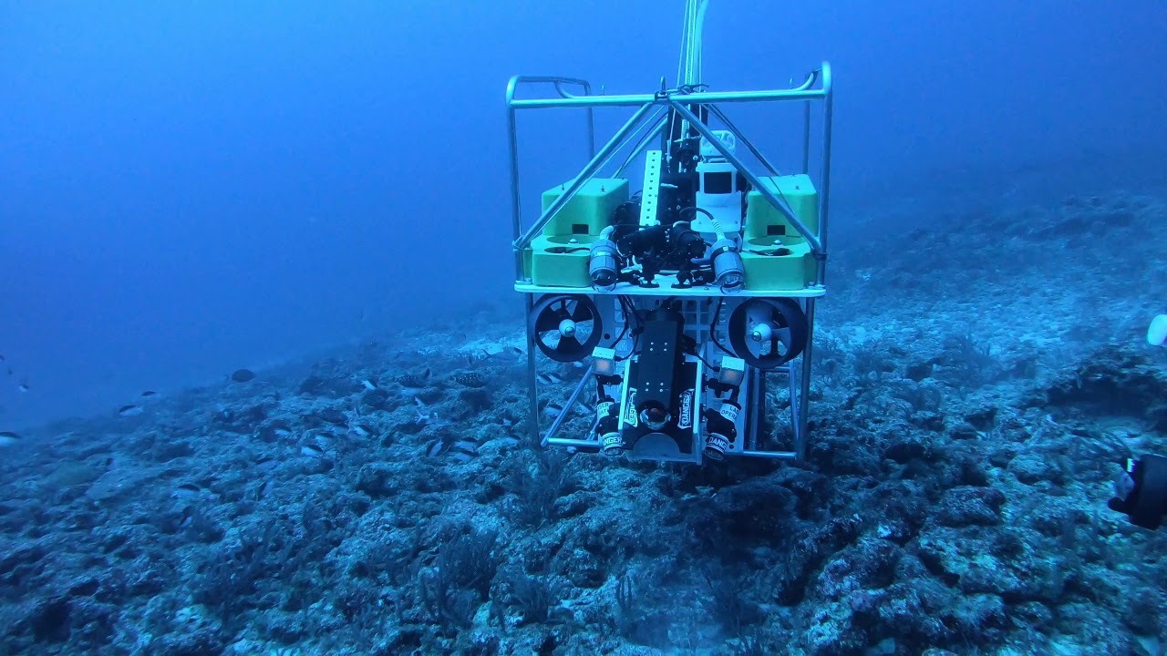 Catching lion fish with our rov .. the reefsweeper - YouTube
