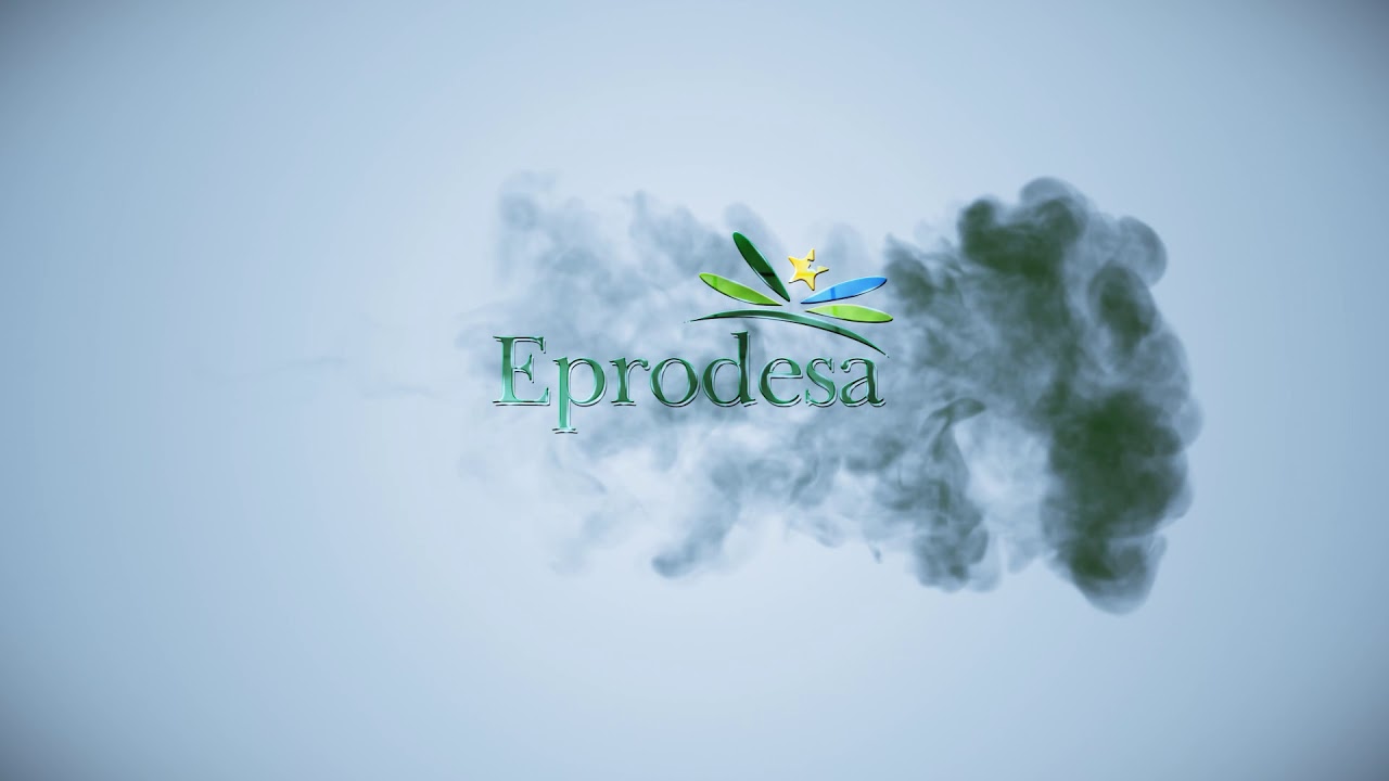 Eprodesa Logo reveal - YouTube