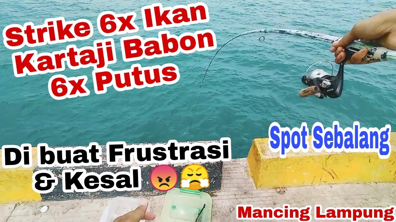 Strike 6x Ikan Kartaji 6x Putus - Dibuat Frustrasi & Kesal || Spot ...