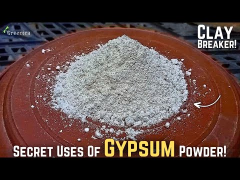 SECRET Uses Of Gypsum For Plants! - How To use Gypsum On Soil? - YouTube