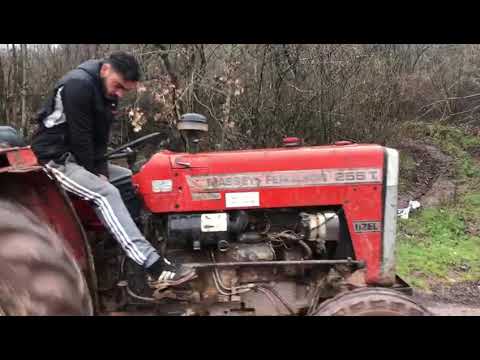 Fiat 54c vs MF 255t turbo