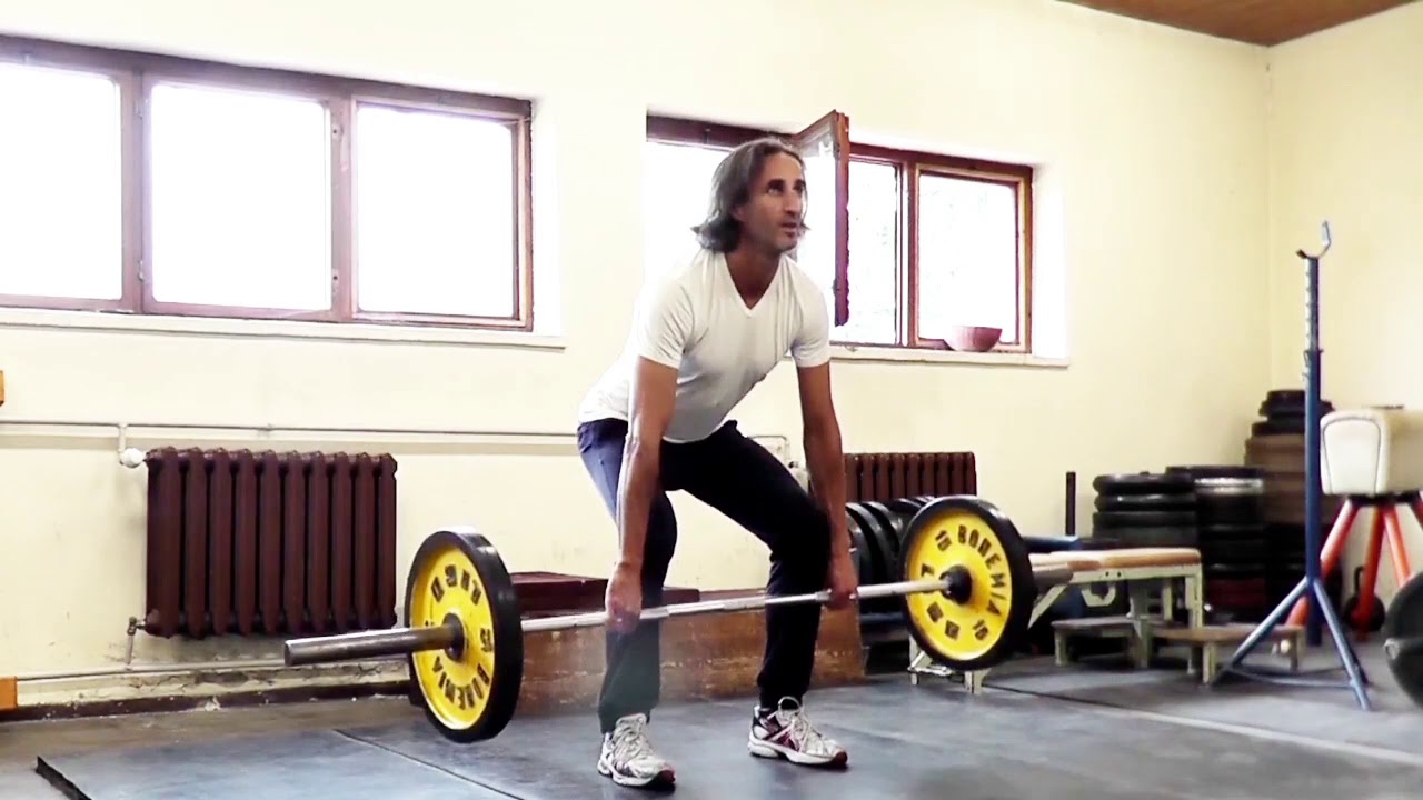 MEZZI STACCHI RUMENI (per GLUTEI, SCHIENA, FEMORALI) - Tecnica di ...