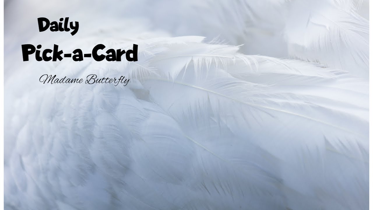 🎴🔮🌈🧁Daily Pick-a-Card Reading~ Wednesday 28th June 2023 (Timeless ...