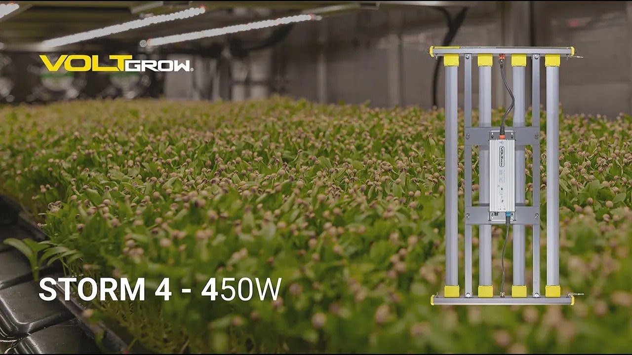 STORM 4 | LED Grow Light | VOLT® Grow - YouTube
