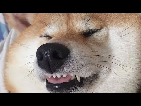 Happy-sped up #song #spedup - YouTube