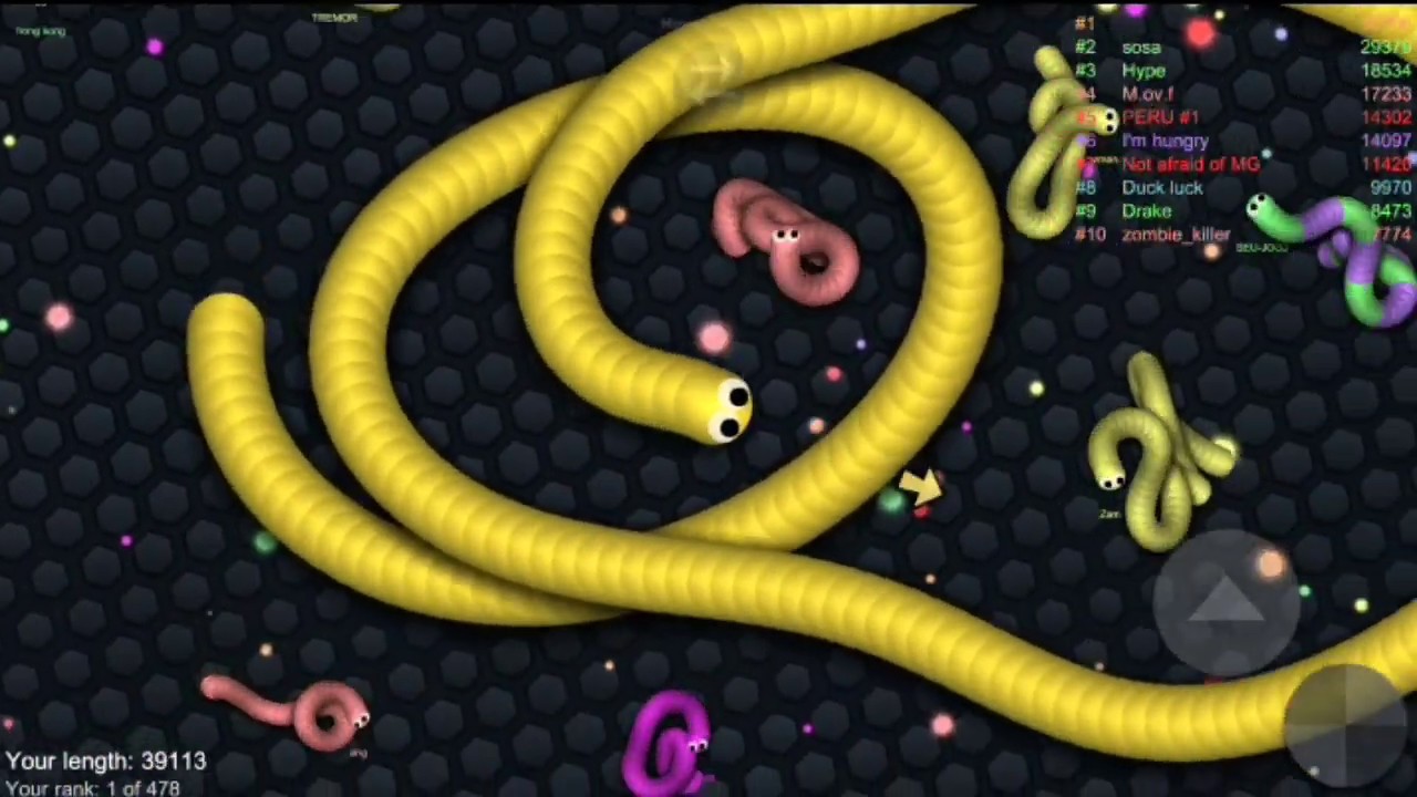 Slitherio Tiny snake loves eating slitherio Best records Top 01 slither ...
