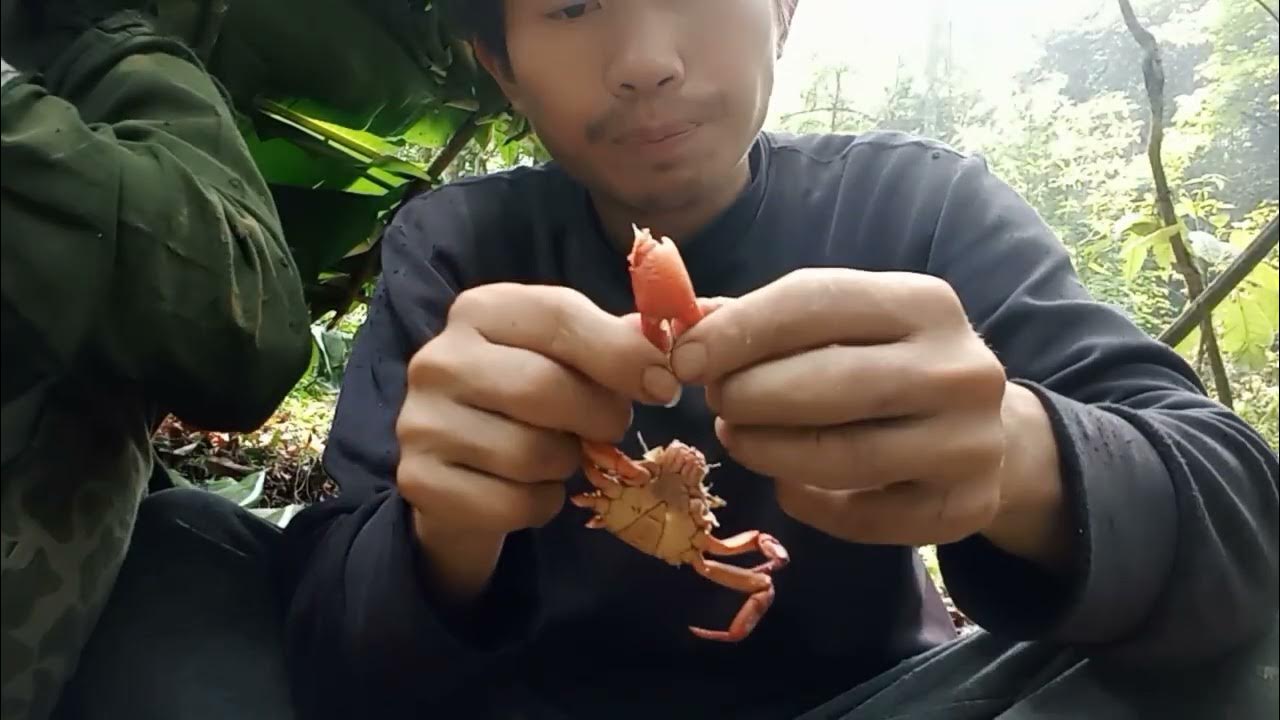 mus yos hav zoov tua nas noj txiv nyab/14/4/2023 - YouTube