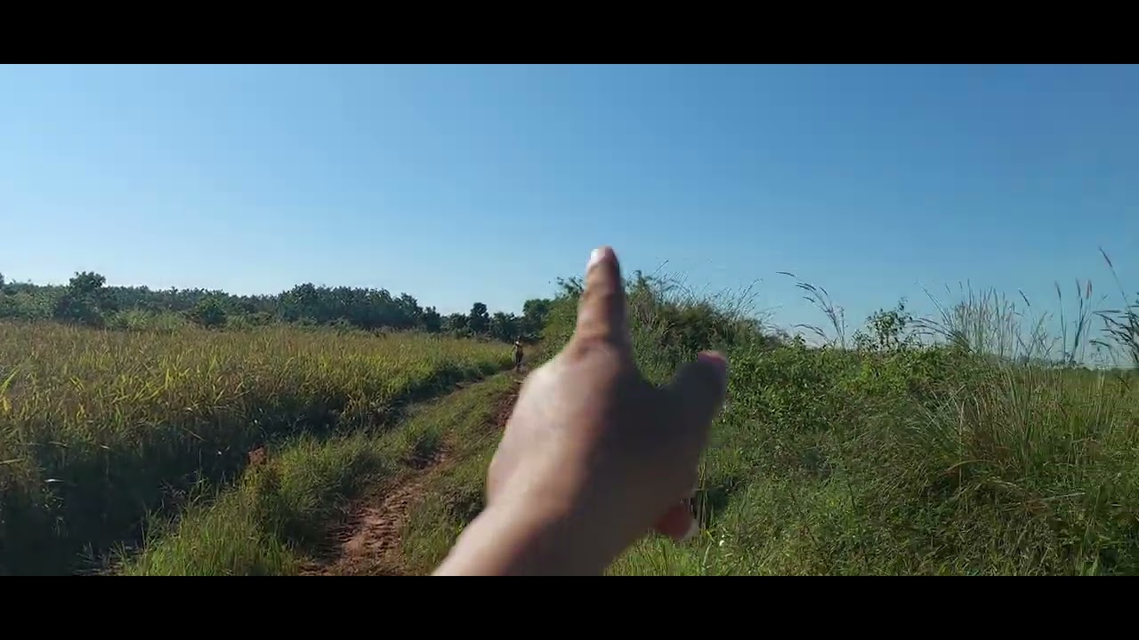 11 hét tại easup Đăk Lăk ngay dân cư giá 170triêu/h .0944734123 - YouTube