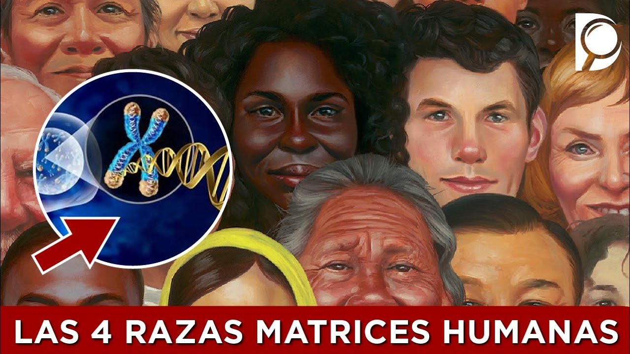 El Origen de las cuatro RAZAS Humanas - YouTube