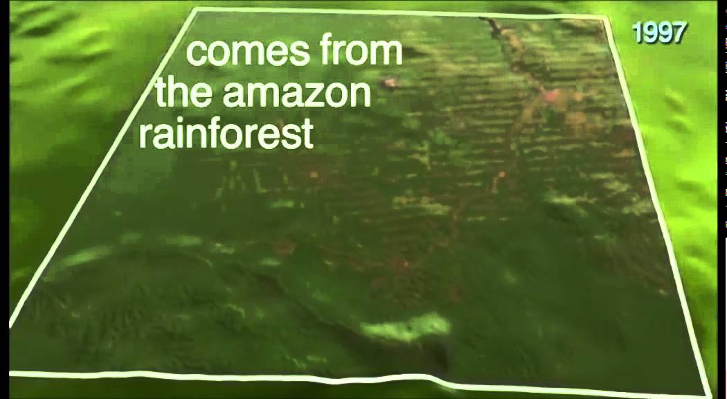 Timelapse Devastating Deforestation - YouTube