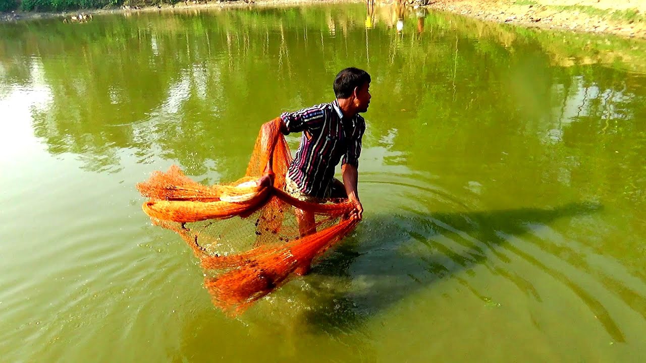 Best Net Fishing।Traditional Cast Net Fishing with Beautiful Natural ...