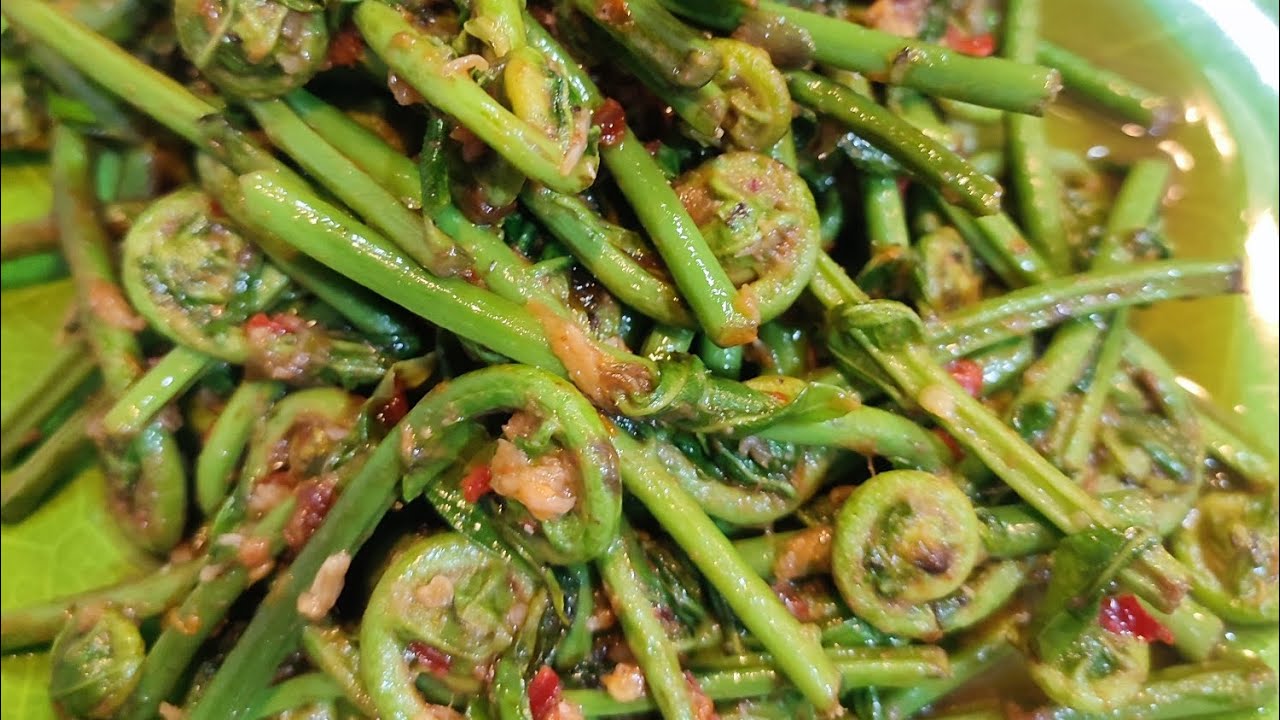 Ternyata pakis hutan enak dimasak gini || paku uban || pakis hutan ...