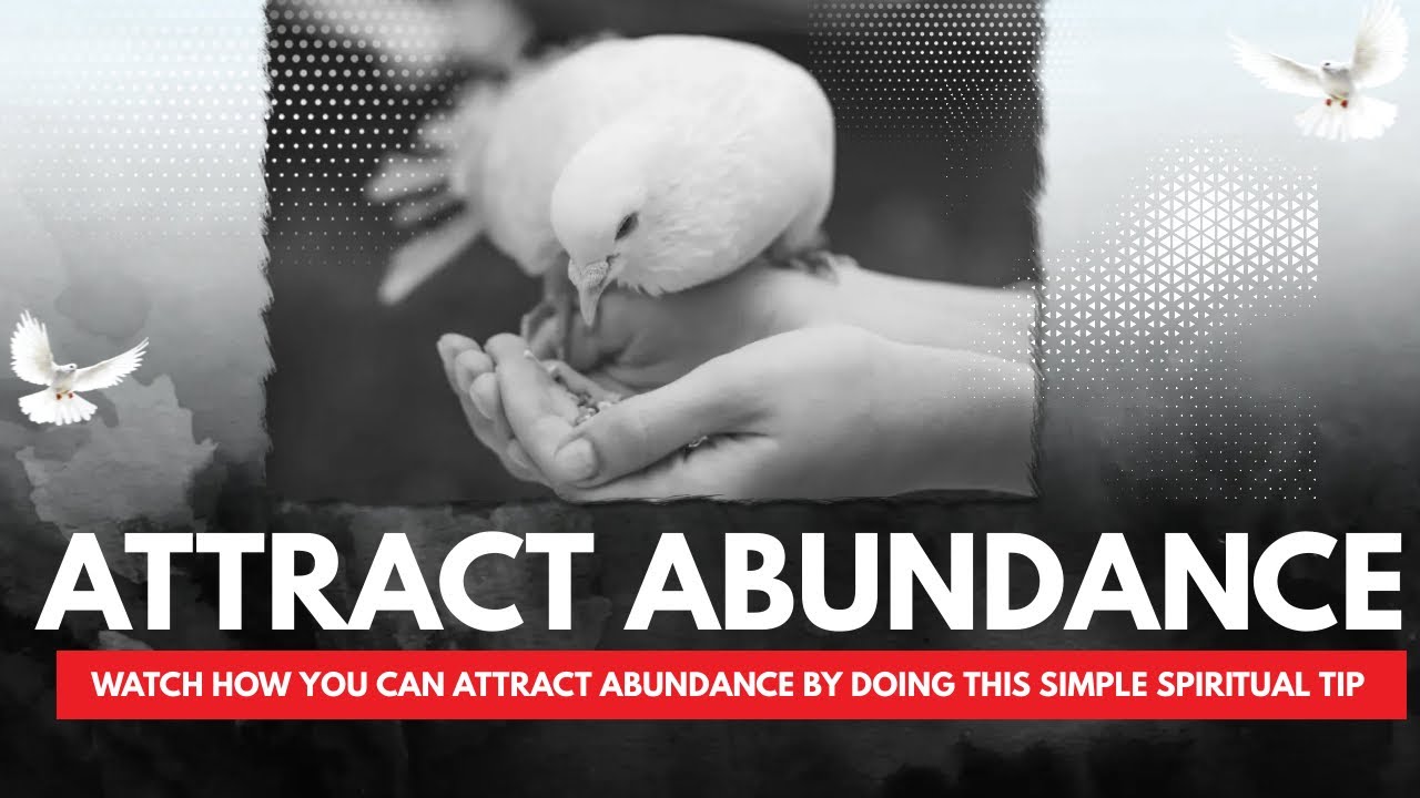 Attract Abundance | Watch How To Do IT The Correct Way And The Easy Way ...