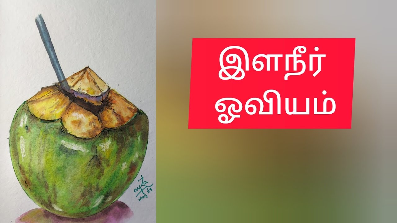 tender coconut drawing/how to draw green coconut step by step # ...