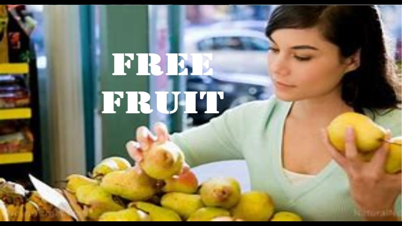 Wild planting a Obelisk pear tree. - YouTube