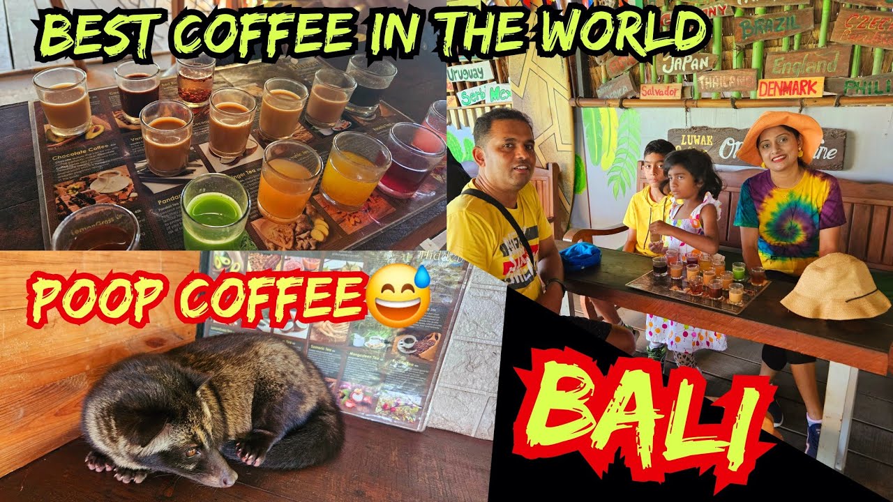 Bali coffee animal poop😅/bali coffee luwak/Bali coffee/famous ...