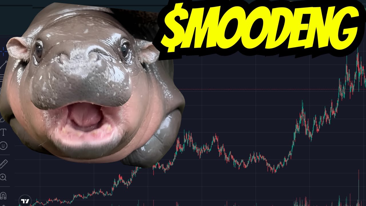 $MOODENG is The One | Lost Robbie Grail Sale | Buckle up. Crypto and ...