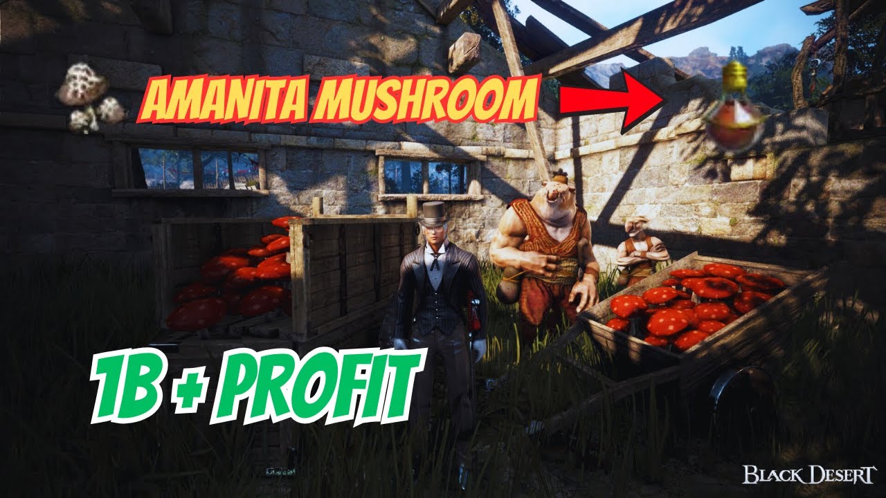 BDO Life : Amanita Mushroom Gathering Guide 2024 - YouTube